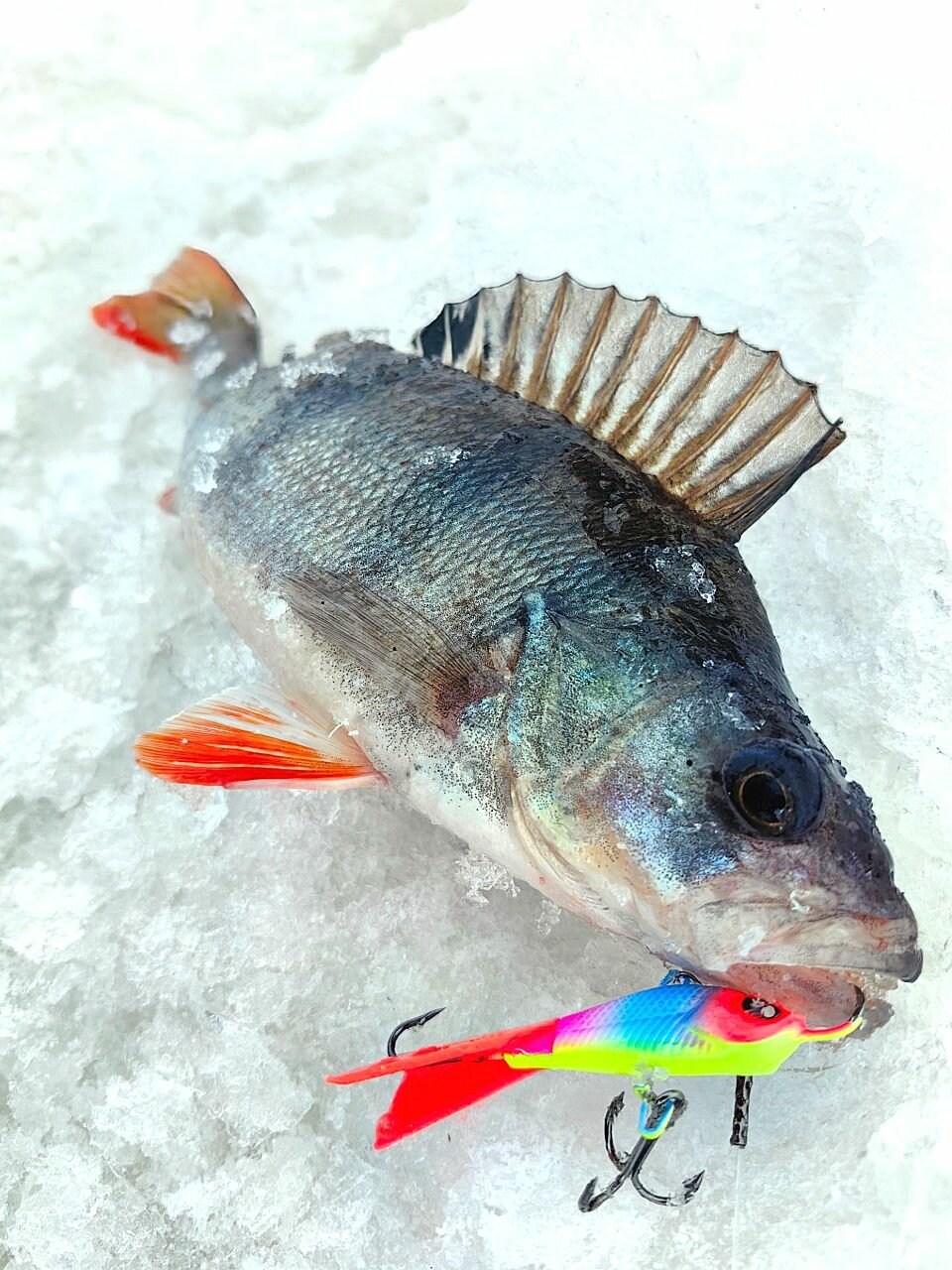 Балансиры для зимней рыбалки 5шт 15г