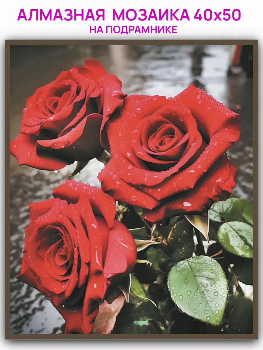 Алмазная мозаика 40х50 на подрамнике Ягоды RWA091