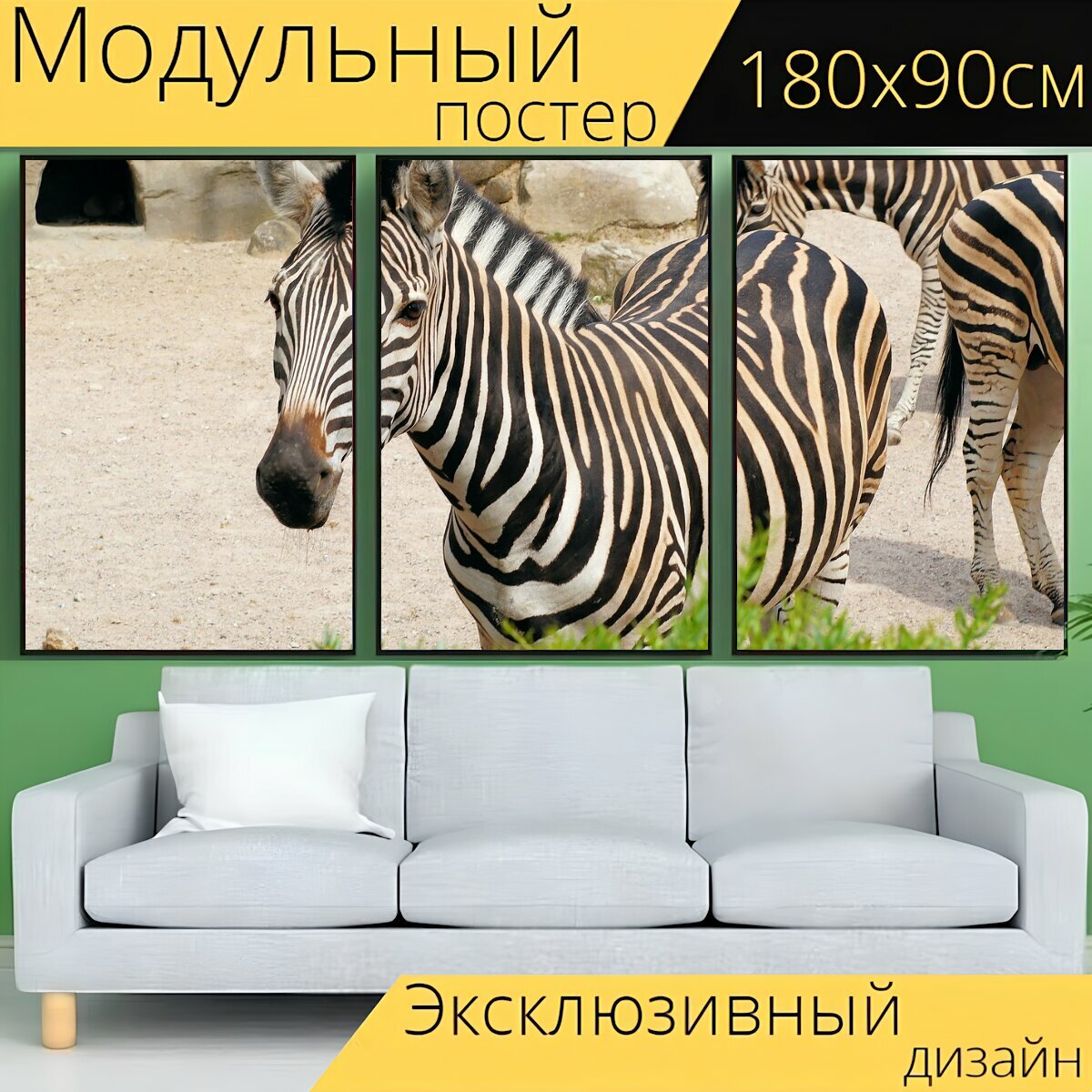 Модульный постер "Зебра, полосатый, черно-белый" 180 x 90 см. для интерьера на стену в тубусе