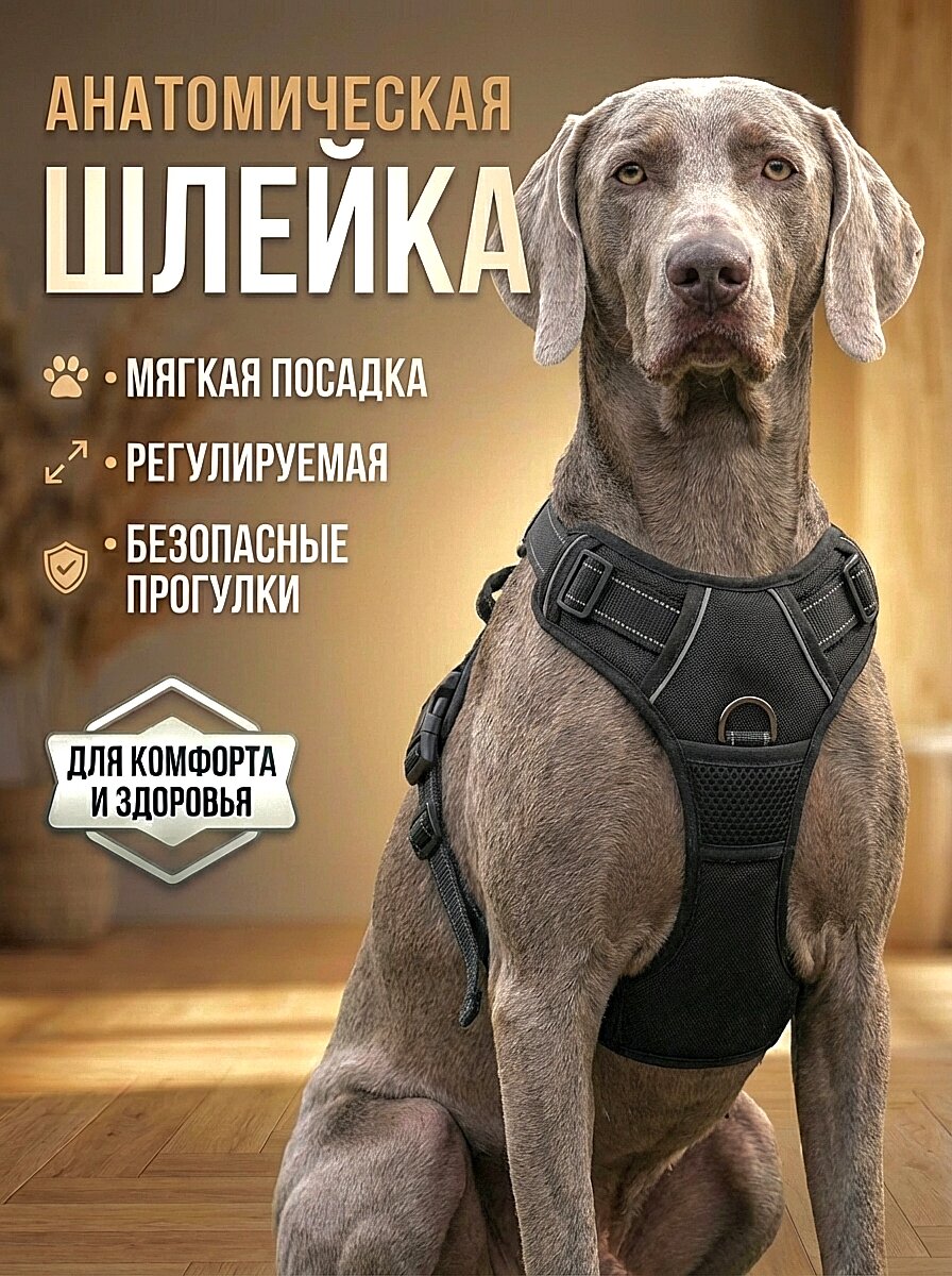 Шлейка для средних и крупных собак анатомическая, нейлоновая, прогулочная, черная L