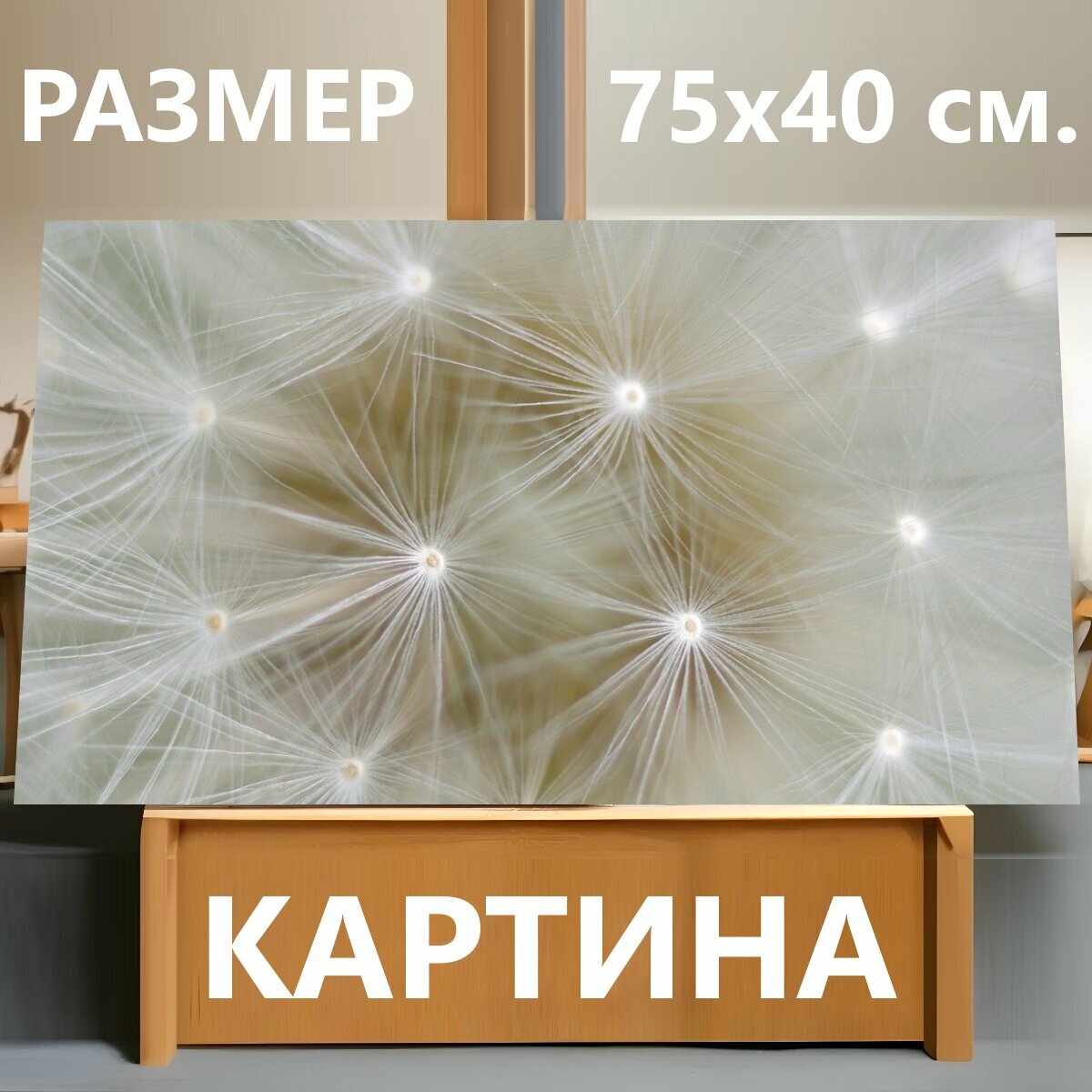 Картина на холсте "Одуванчик, семена, природа" на подрамнике 75х40 см. для интерьера