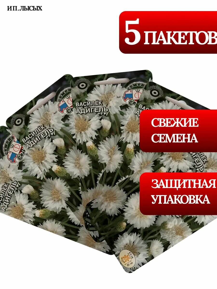 Семена Василек "Адигель"