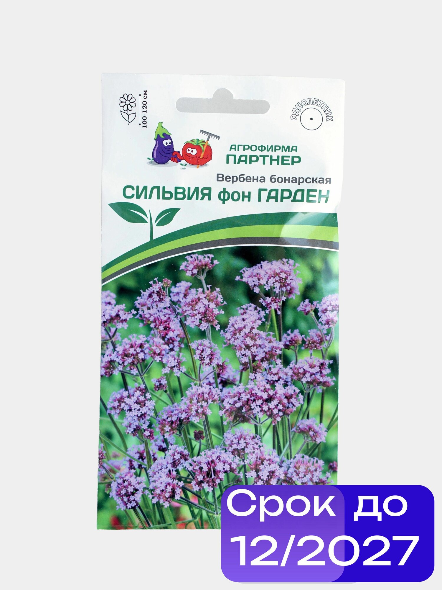 Семена Партнер Вербена Бонарская "Сильвия Фон Гарден", Быстрорастущая, Эффектная