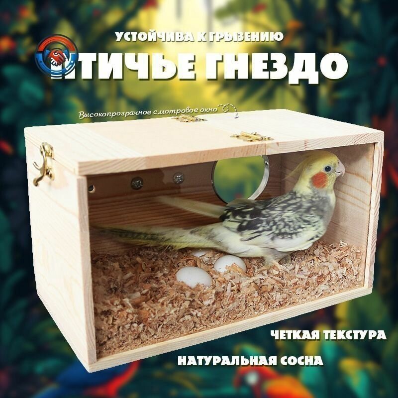 Деревянное гнездо для птиц, натуральное экологичное жилище для разведения волнистых попугаев и других мелких птиц, безопасный домик с гладкой поверхностью