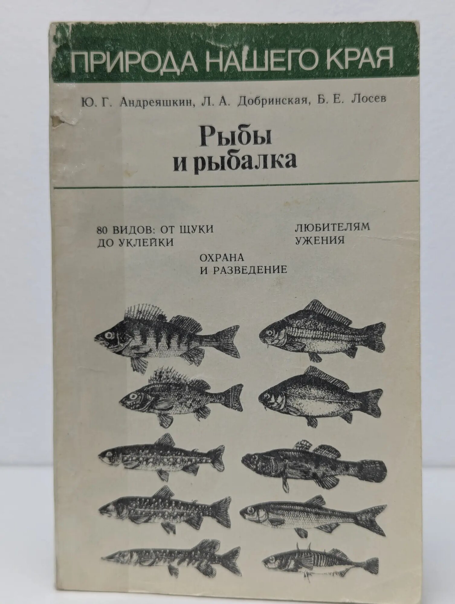 Рыбы и рыбалка Андреяшкин Юрий Георгиевич, Добринская Лидия Алексеевна, Лосев Борис Евгеньевич 1988