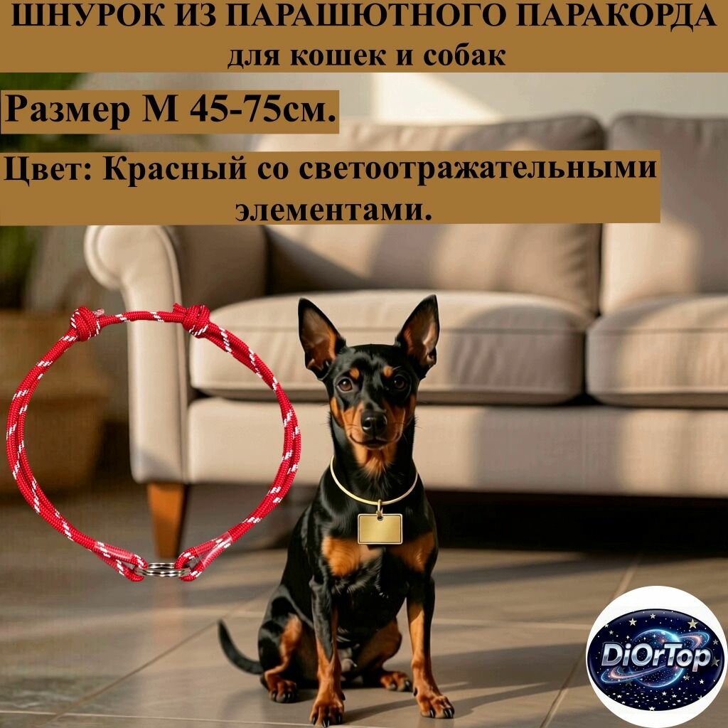 Шнурок для адресника, Красный со светоотражающими элементами, обхват шеи 45 - 75 см.