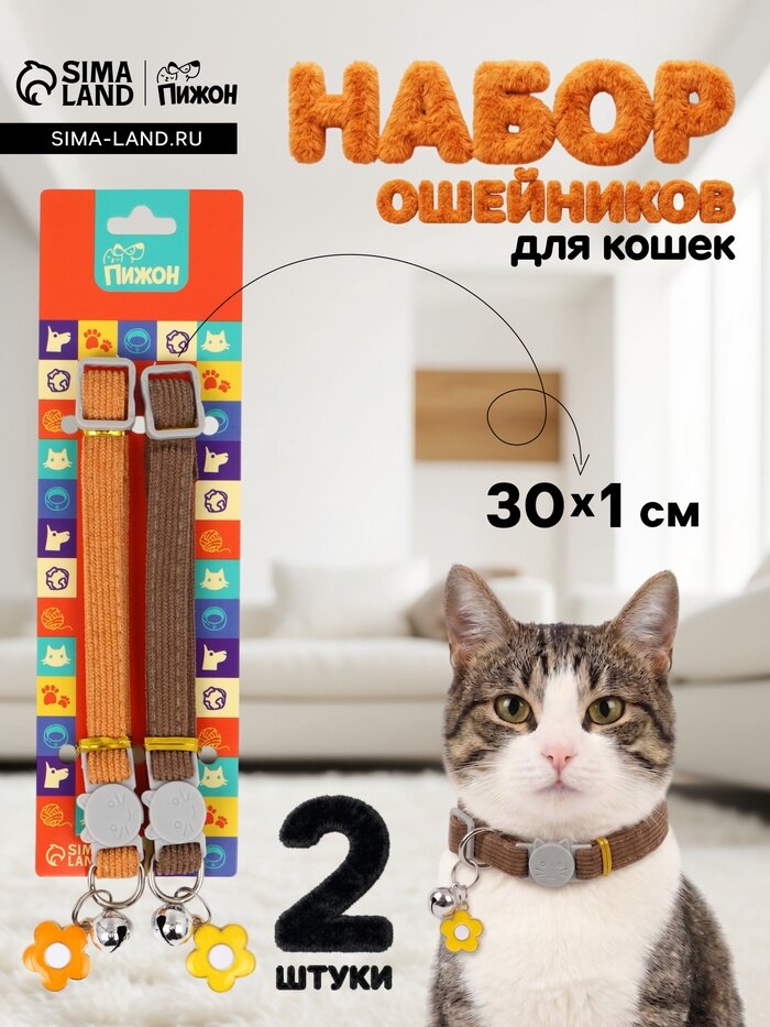Набор ошейников для кошек «Пижон», 30×1 см, оранжевый, коричневый