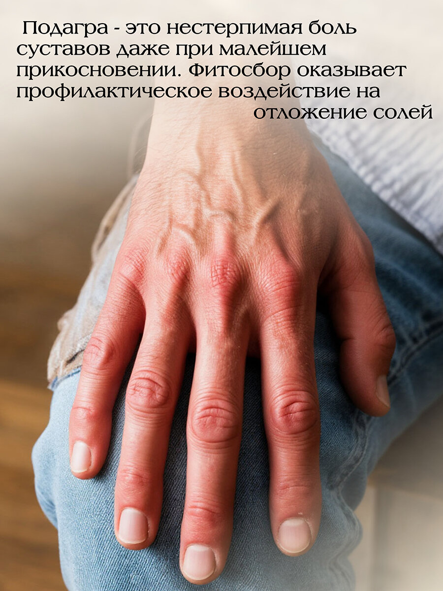 Подагра (160 гр) ручной сбор от Данилы Травника устраняет боль в суставах — фото 1