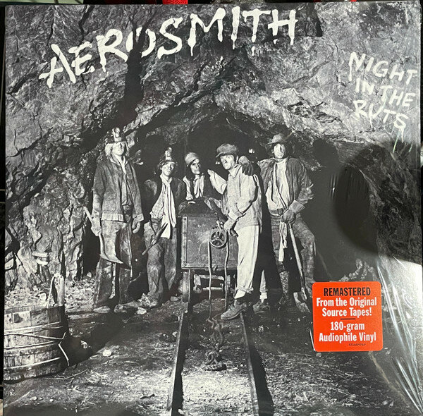 AEROSMITH Night In The Ruts (LP)
