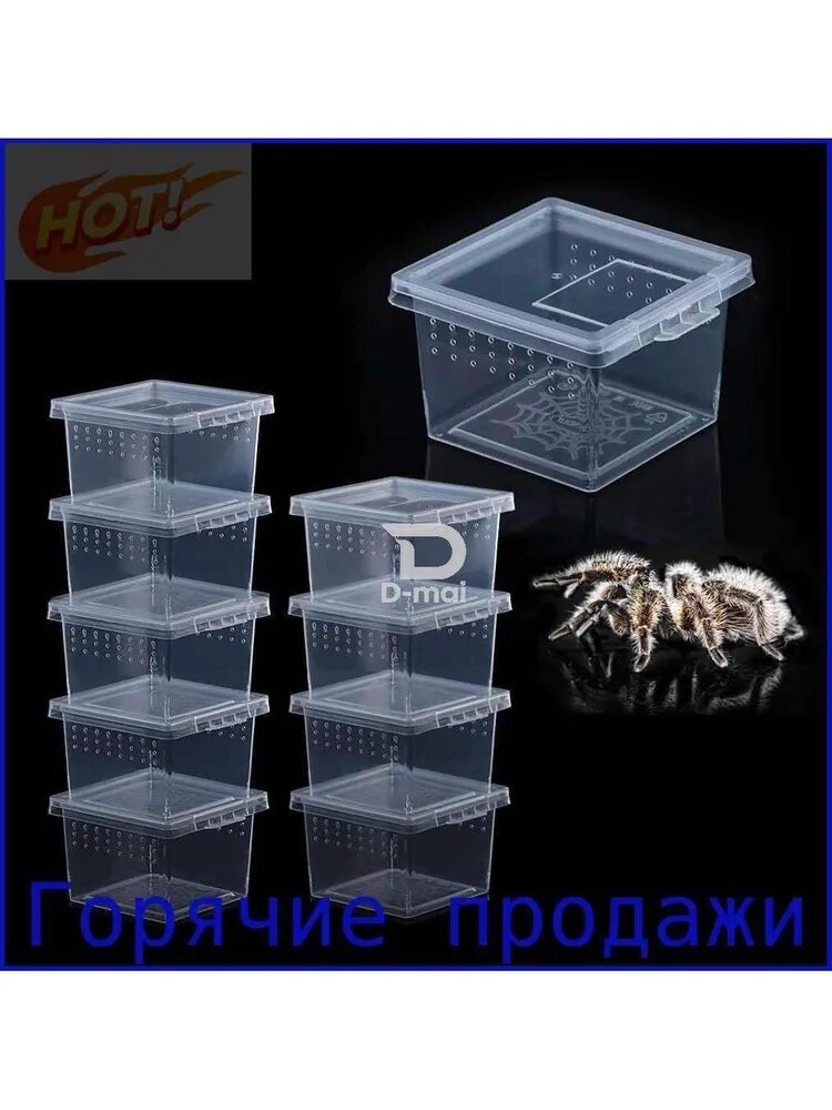 10 шт. Террариумы для разведения насекомых-пауков