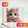 Альбом для рисования Котики