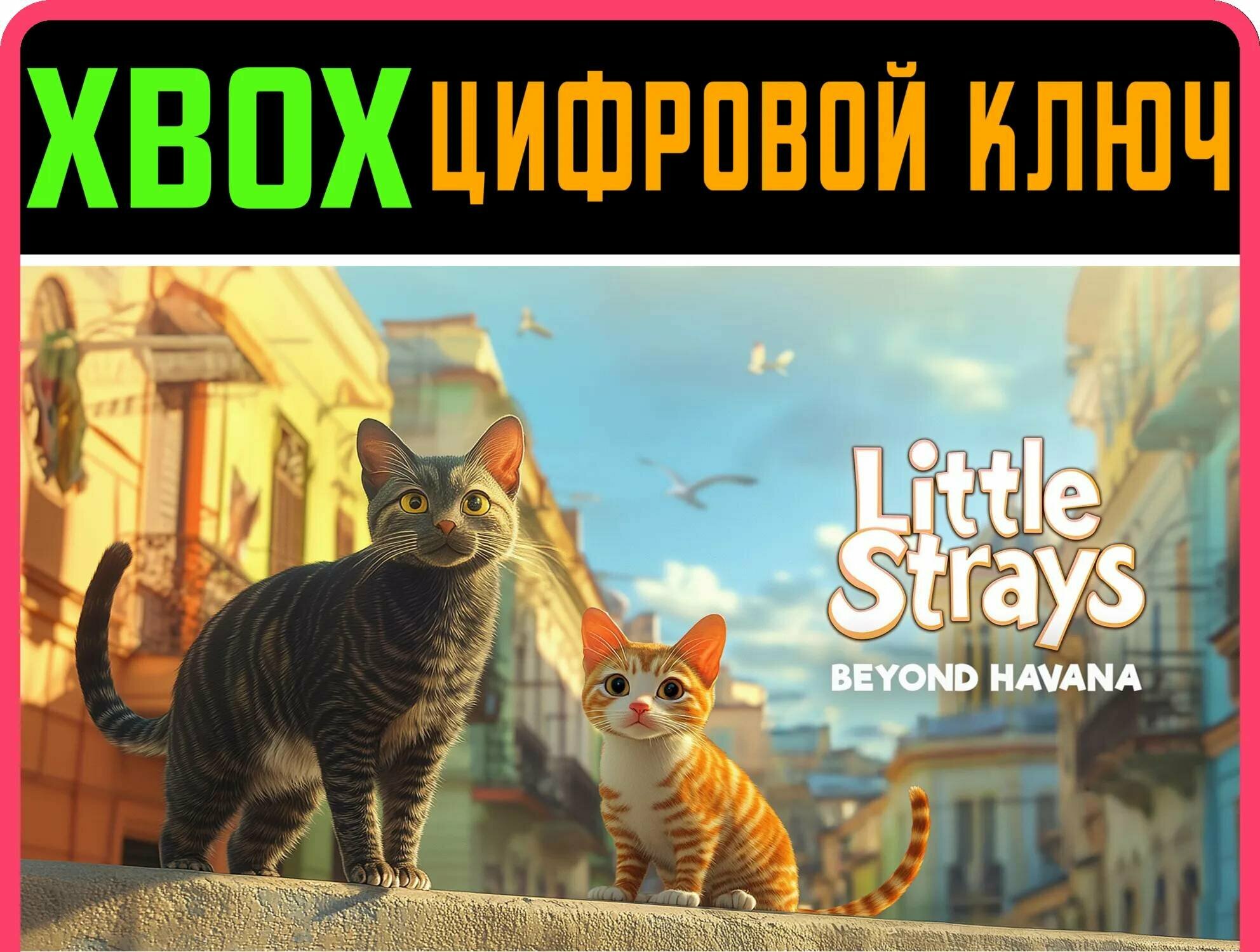 LITTLE STRAYS - BEYOND HAVANA XBOX ключ/КОД | Работает на ваш акк | Игра навсегда | Быстрая доставка