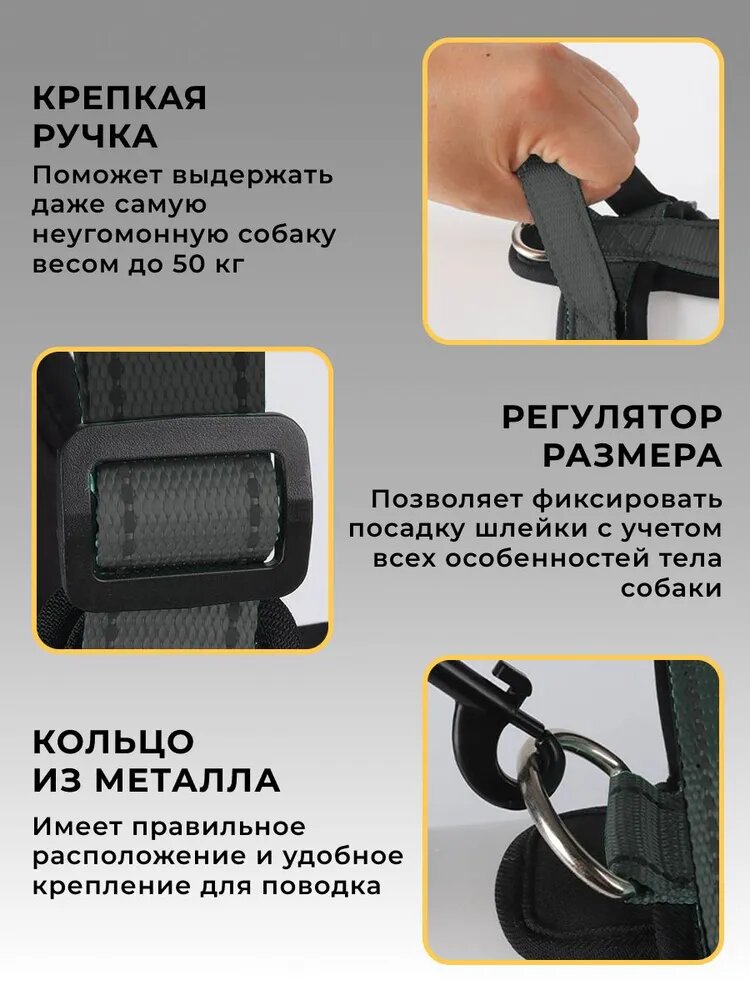Шлейка — фото 1