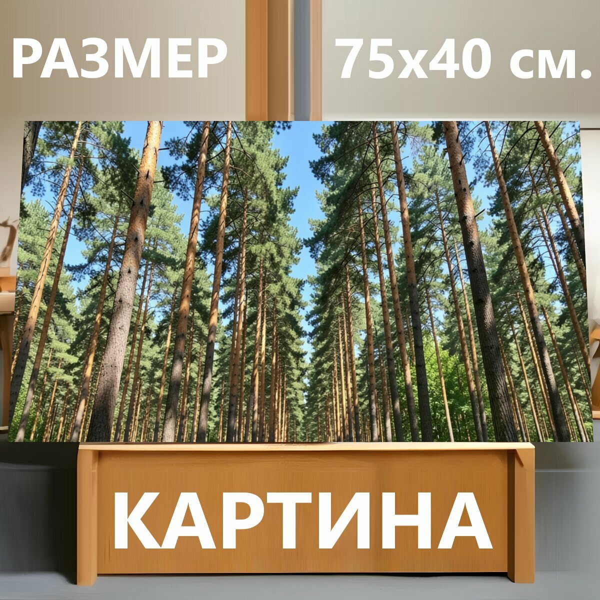 Картина на холсте "Сосновый лес с тропинкой. Высокие стройные сосны, уходящая вдаль лесная аллея и одинокая девушка на солнечной тропе. Летняя." на подрамнике 75х40 см. для интерьера