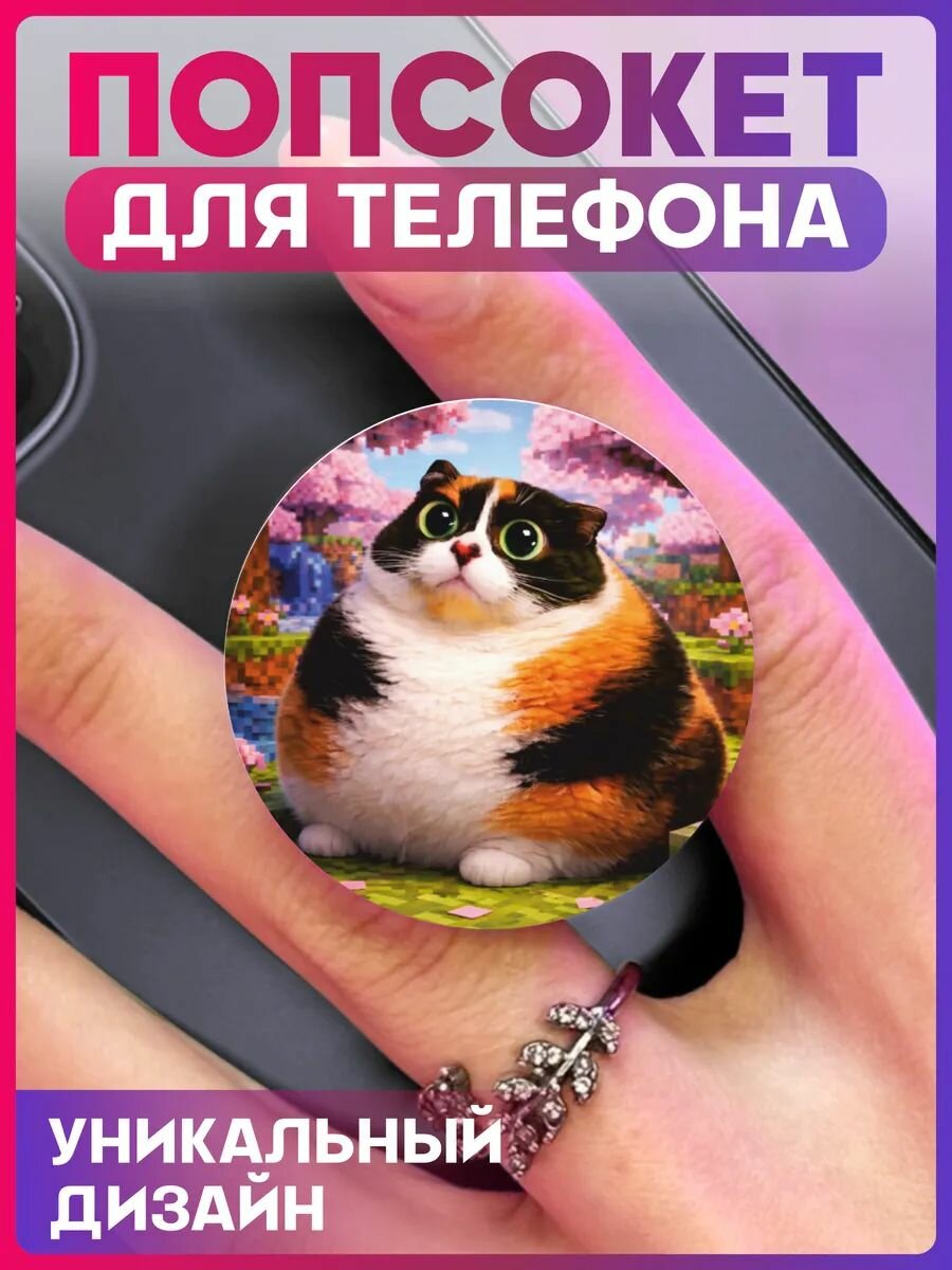 Попсокет для телефона Котость мем
