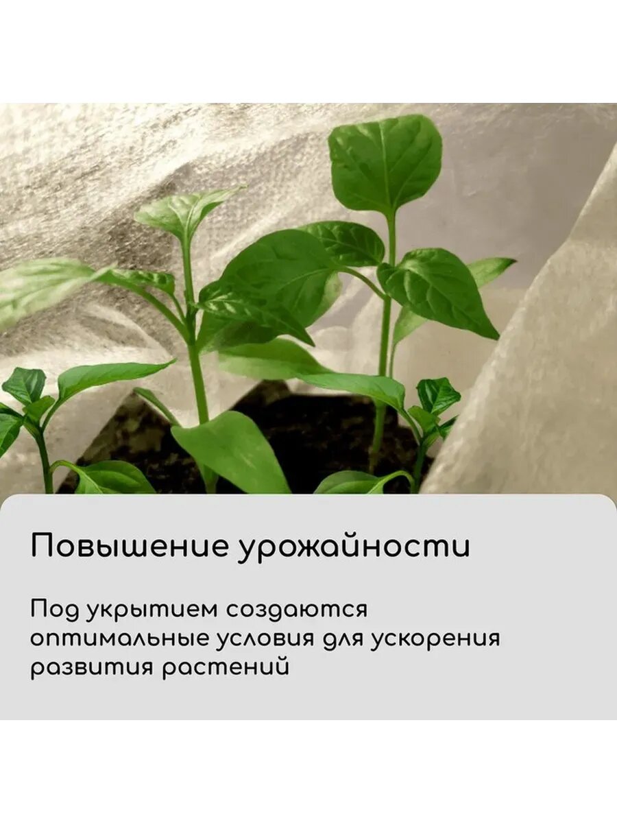 Плотный укрывной спанбонд для защиты растений