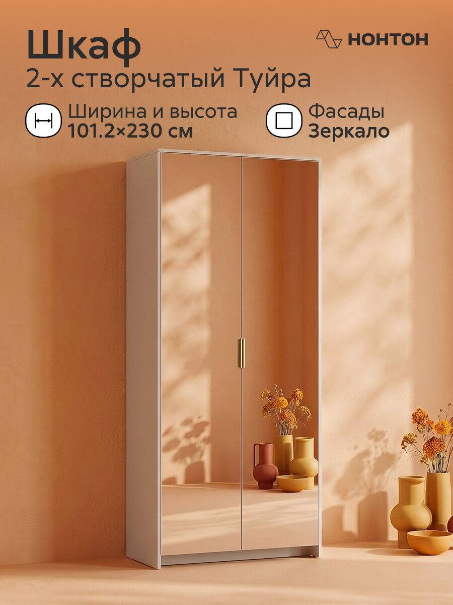 Шкаф распашной 2х-створчатый Туйра №4, Ш:101.2 * Г:51.5 * В:230 (кашемир / 2 зеркала )