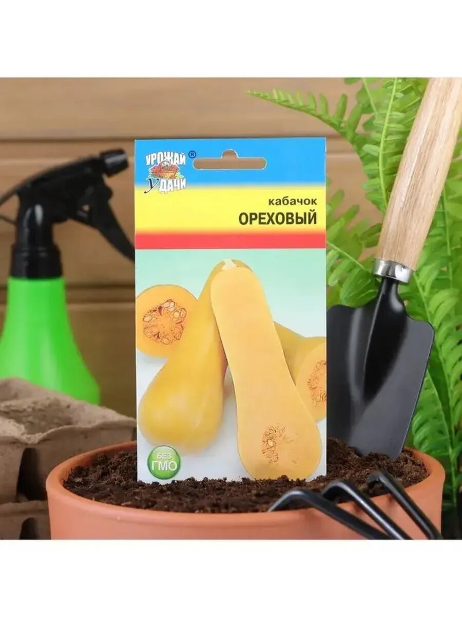Уникальный набор семян кабачка Ореховый — 5 шт.