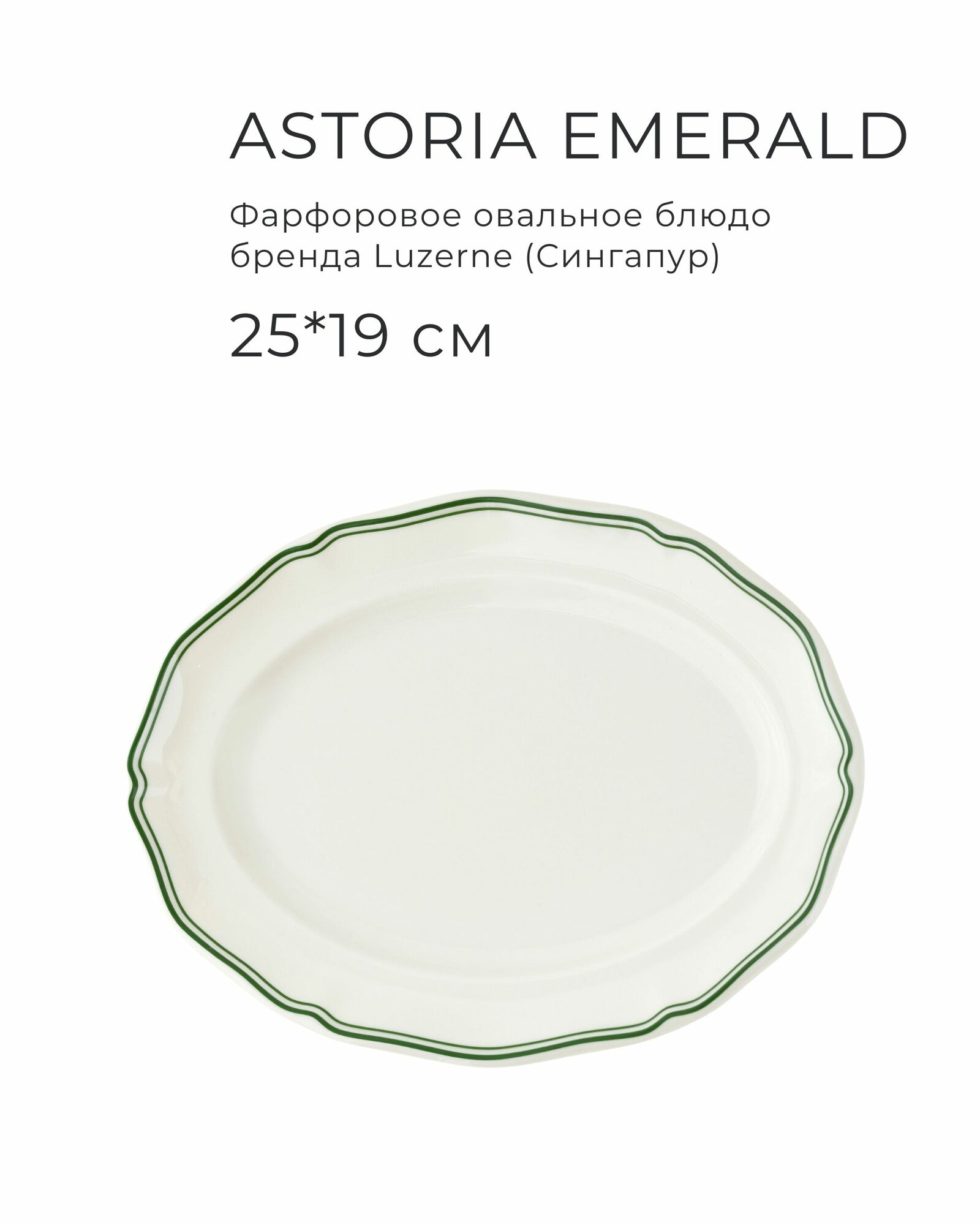 Фарфоровое блюдо 25*19 см для закусок и основных блюд, серия Astoria зеленый кант, бренд Luzerne