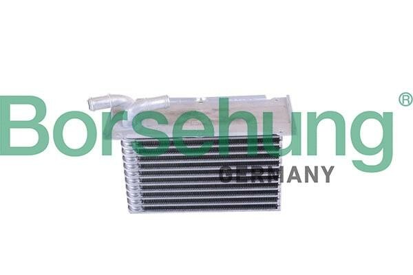 Интеркулер Borsehung B10881 Audi A3, Skoda Yeti, Superb II, Octavia II, Rapid, VW Golf 5, 6, Tiguan, Passat B7 1.4 TSI 08-
