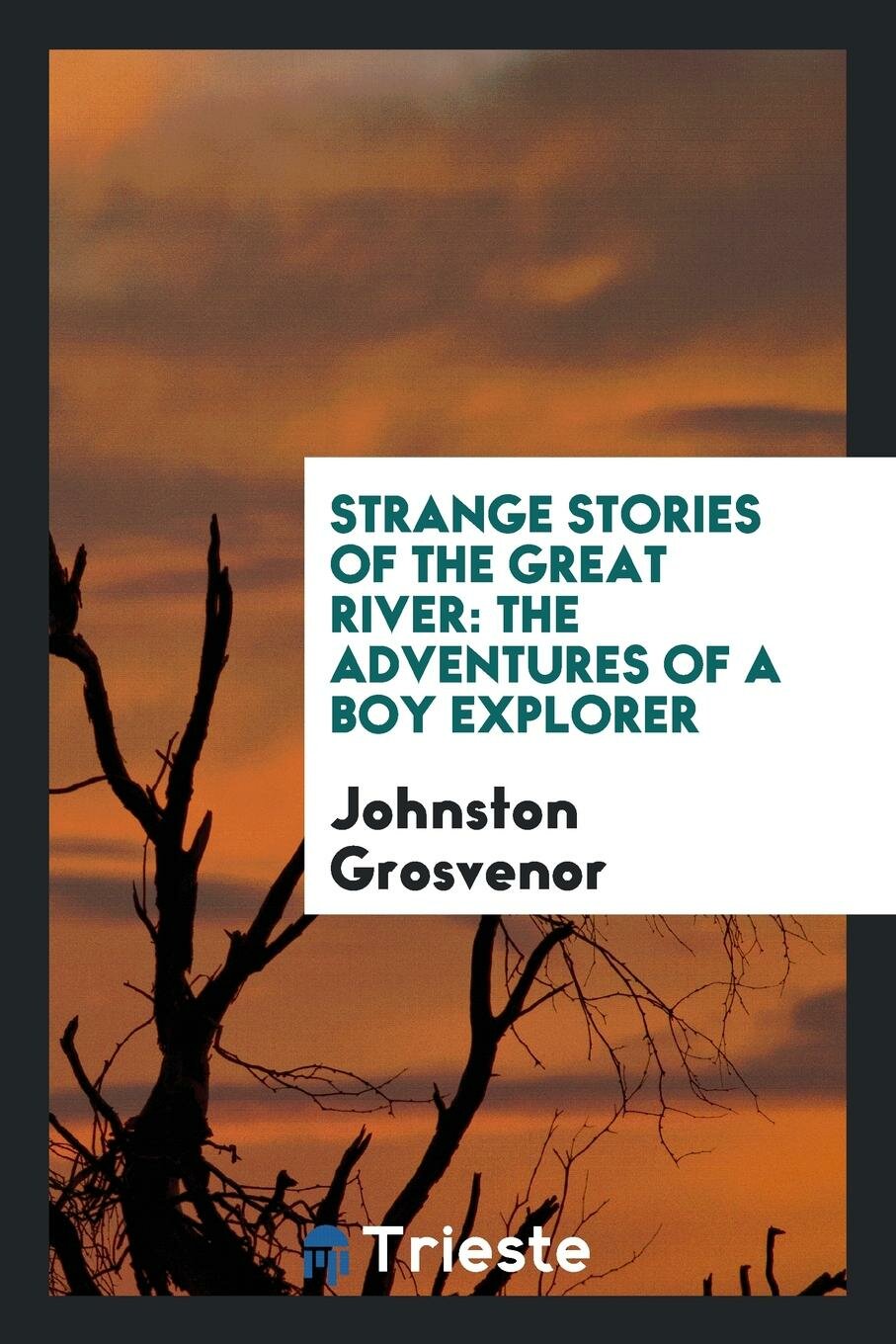 Strange Stories of the Great River. The Adventures of a Boy Explorer