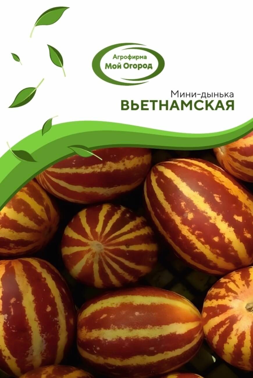 Мини Дыня Вьетнамская семена 5 шт семена дыни для посадки
