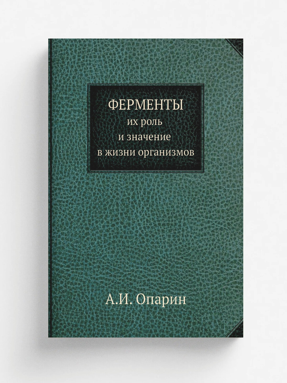 Ферменты, их роль и значение в жизни организмов