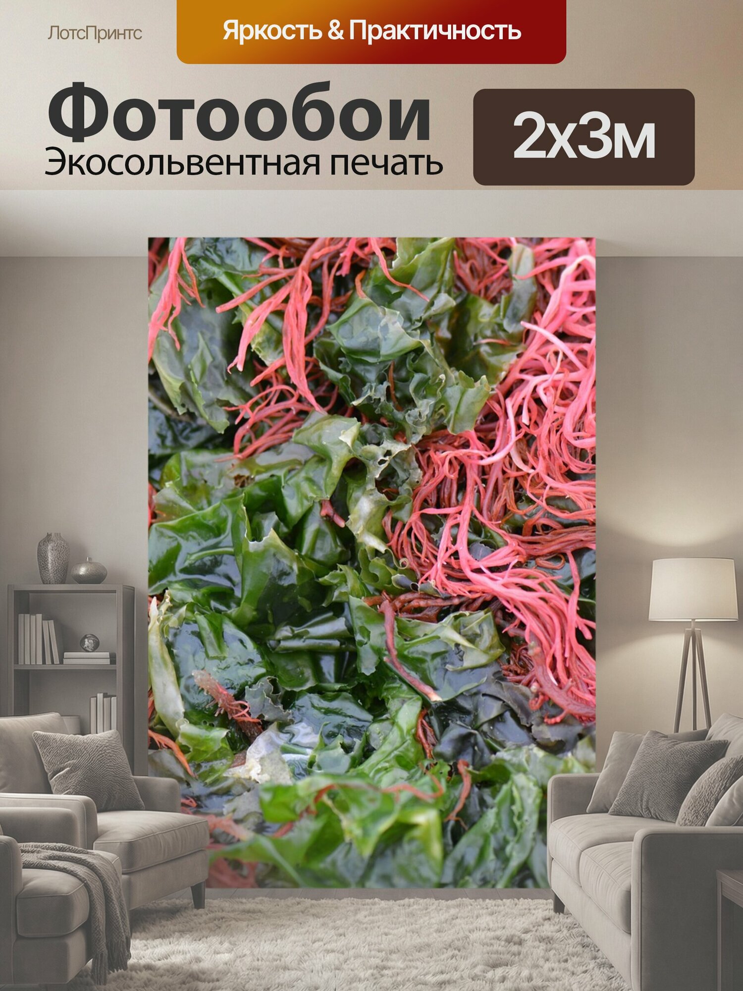 Фотообои "Морские водоросли, водоросли, природа" 200x300 см. экосольвентная печать
