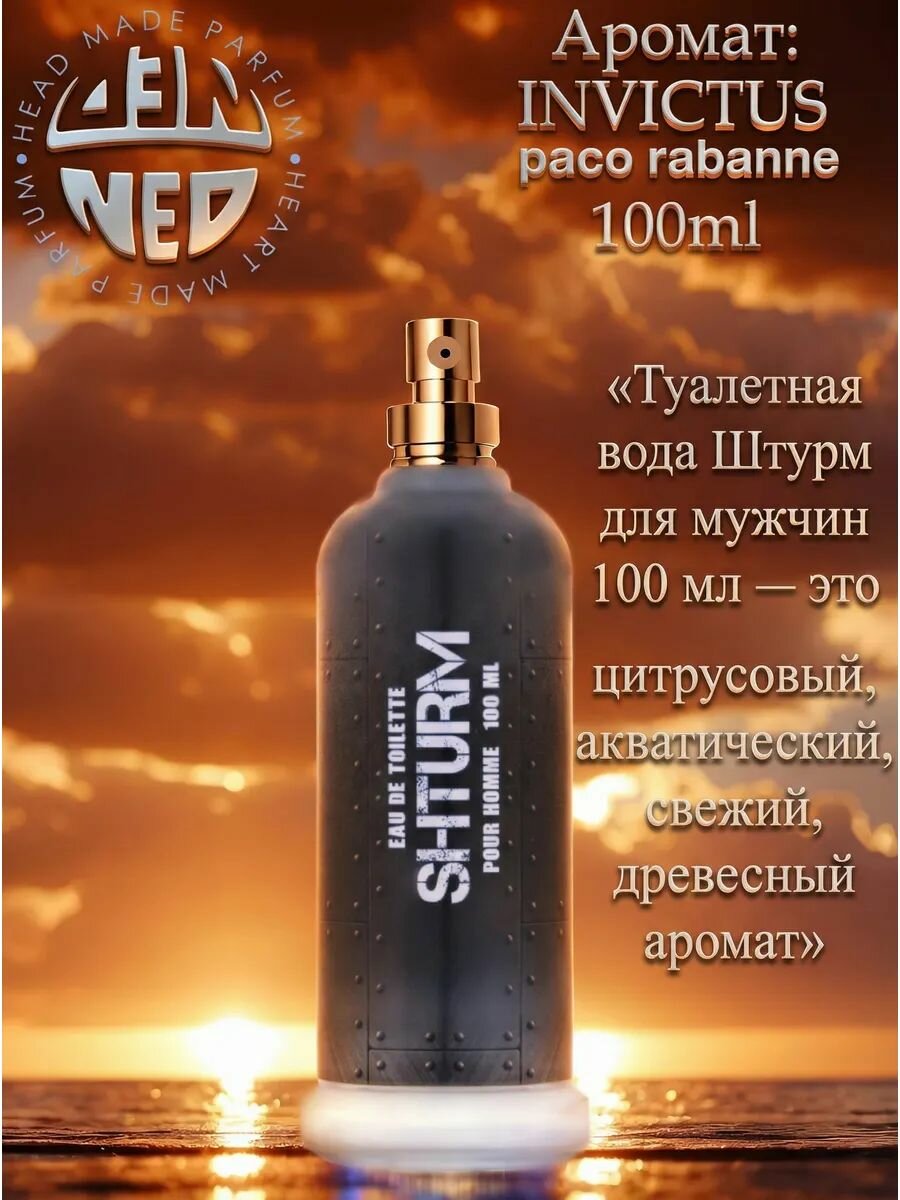 Neo Parfum Туалетная вода SHTURM 100 мл