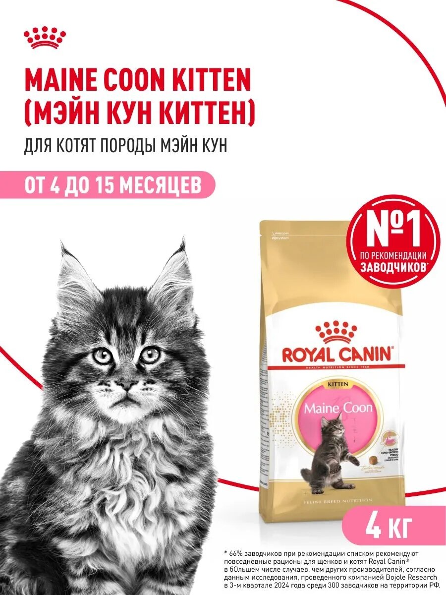 Сухой корм ROYAL CANIN MAINE COON KITTEN для котят для породы мейн-кун в возрасте от 4 до 15 месяцев, 4 кг
