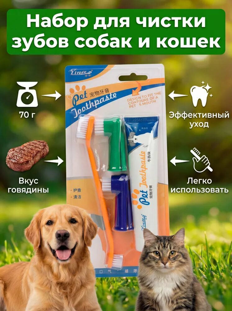 Зубная паста для собак и кошек со вкусом говядины + щетки / Набор для чистки зубов для собак и кошек