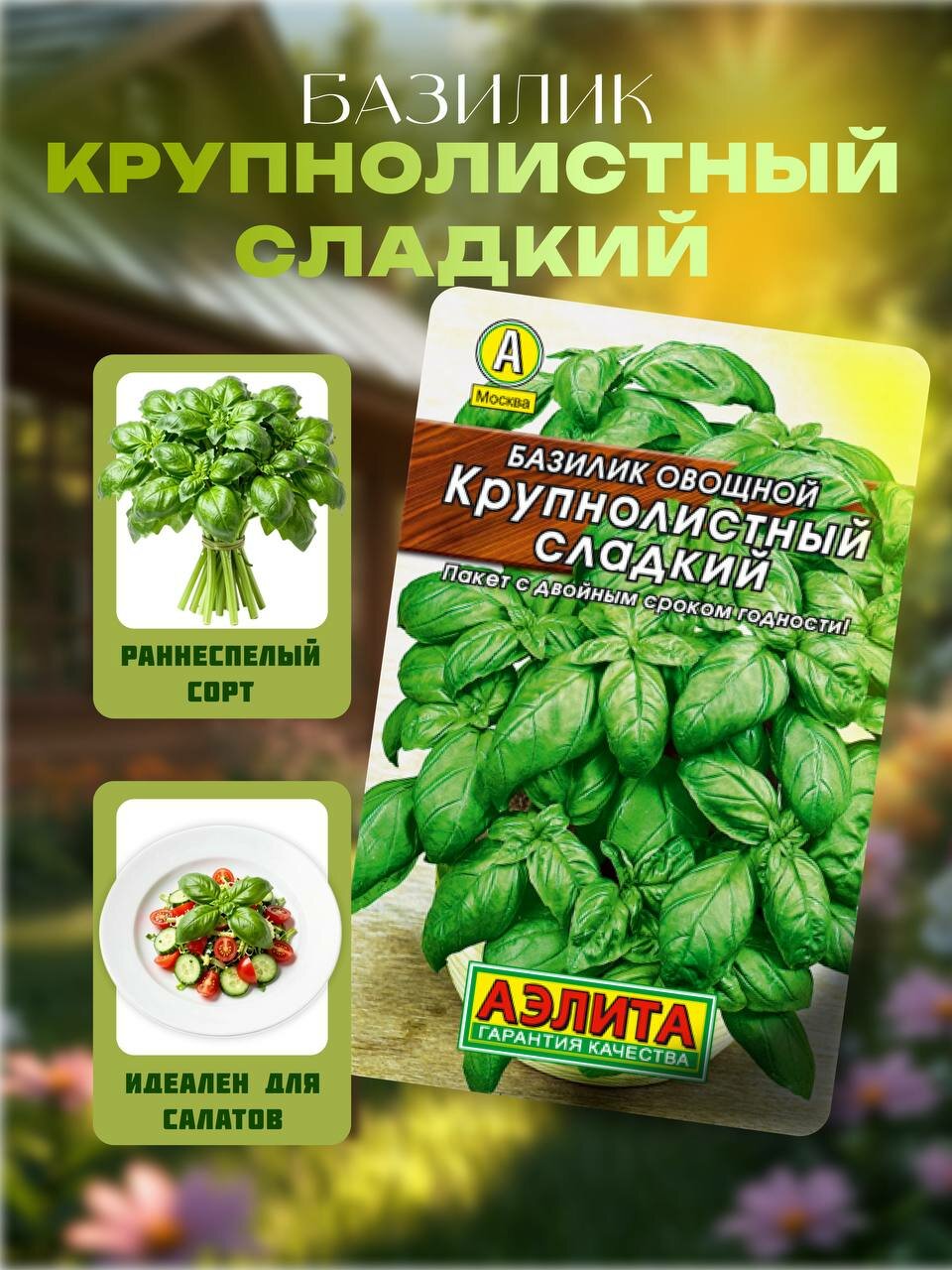 Семена базилик овощной для посадки.