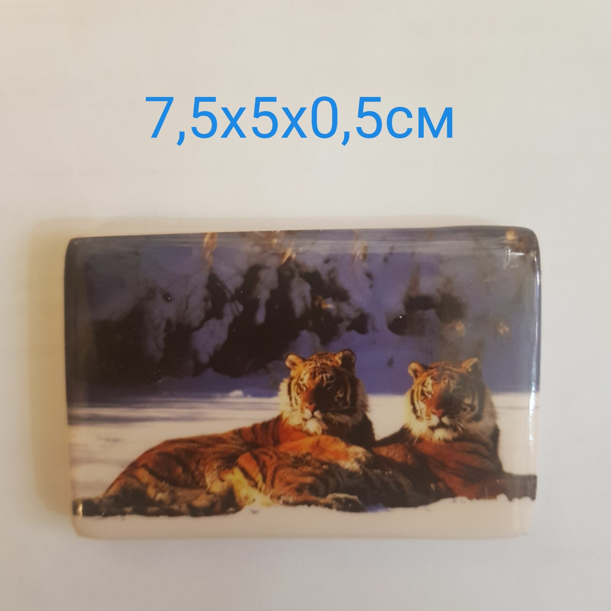 Изделие декоративное Магнит "Тигр" 7,5х5х0,5см, керамика, 3417Л
