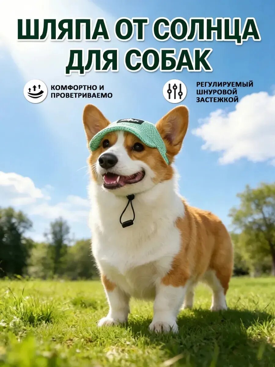 Панама для собак