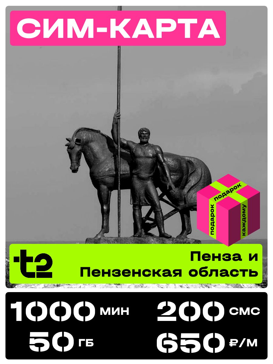 Сим карта теле 2. t2 SIM-карта тариф Партнер М Пензенская область. 1000 минут за 650 рублей в месяц.