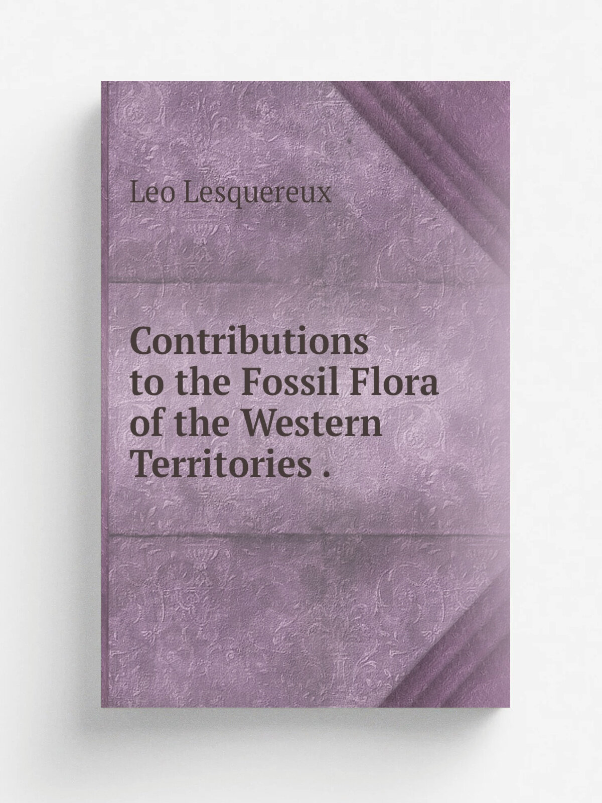 Contributions to the Fossil Flora of the Western Territories .