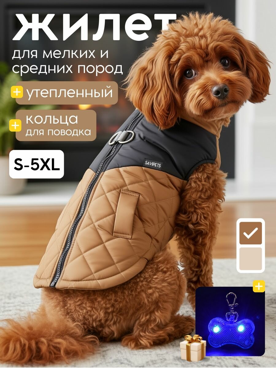 Одежда для животных
