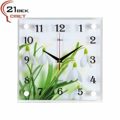 Часы настенные 2525-231 (25Х25) квадр подснежники рубин