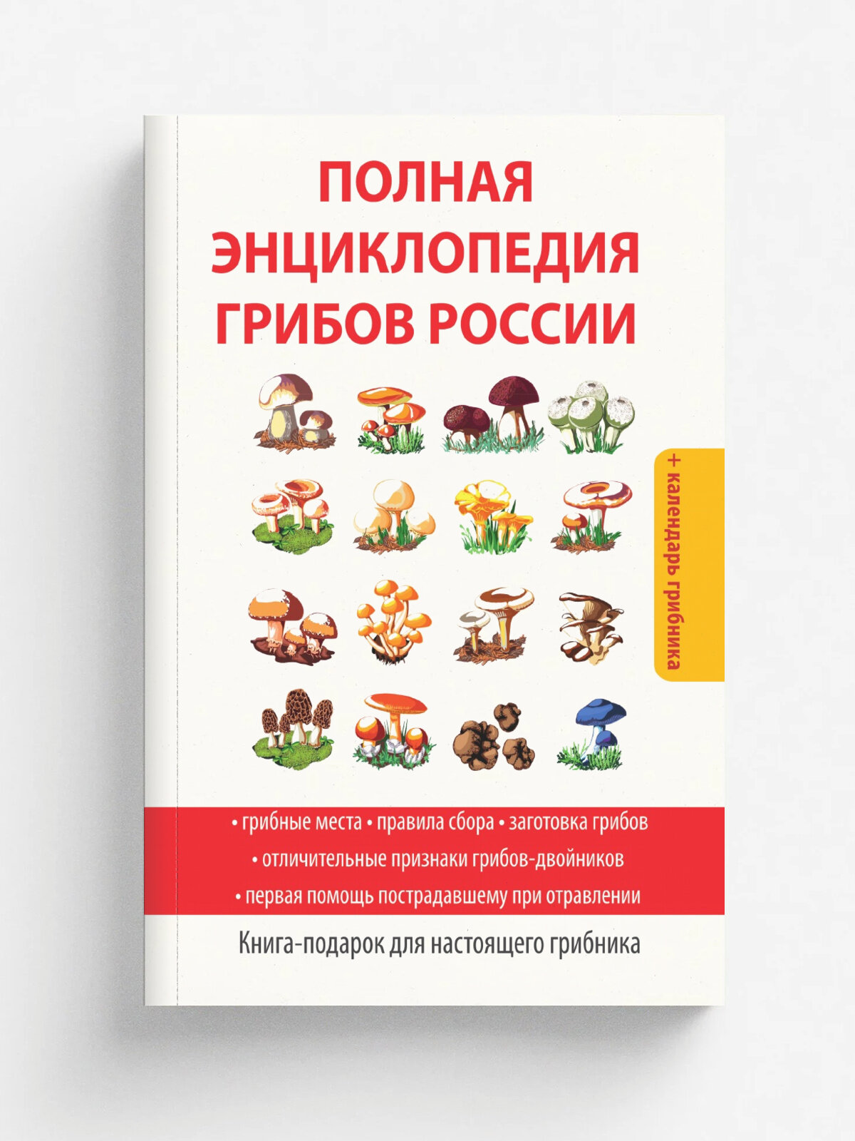 Полная энциклопедия грибов России