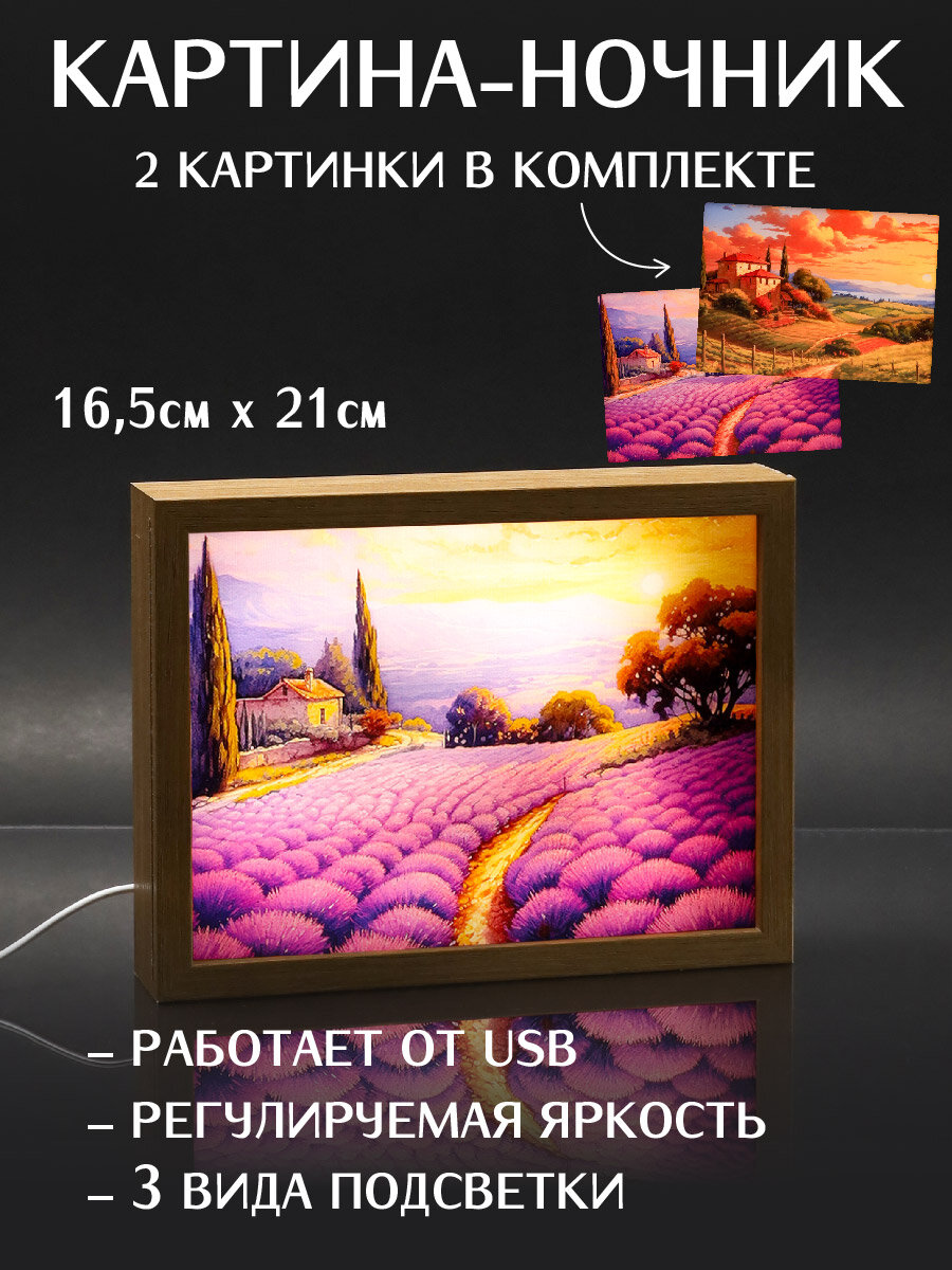 Светодиодный светильник. Картина. "Яркие поля" (2 смен. карт. в наборе) 65 LED, 16.5*21*4.5 см СН-1940
