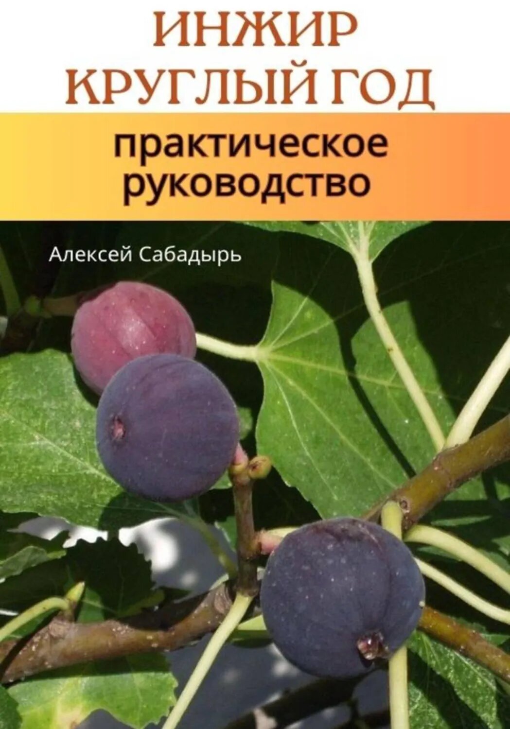 Инжир круглый год практическое руководство [Цифровая книга]