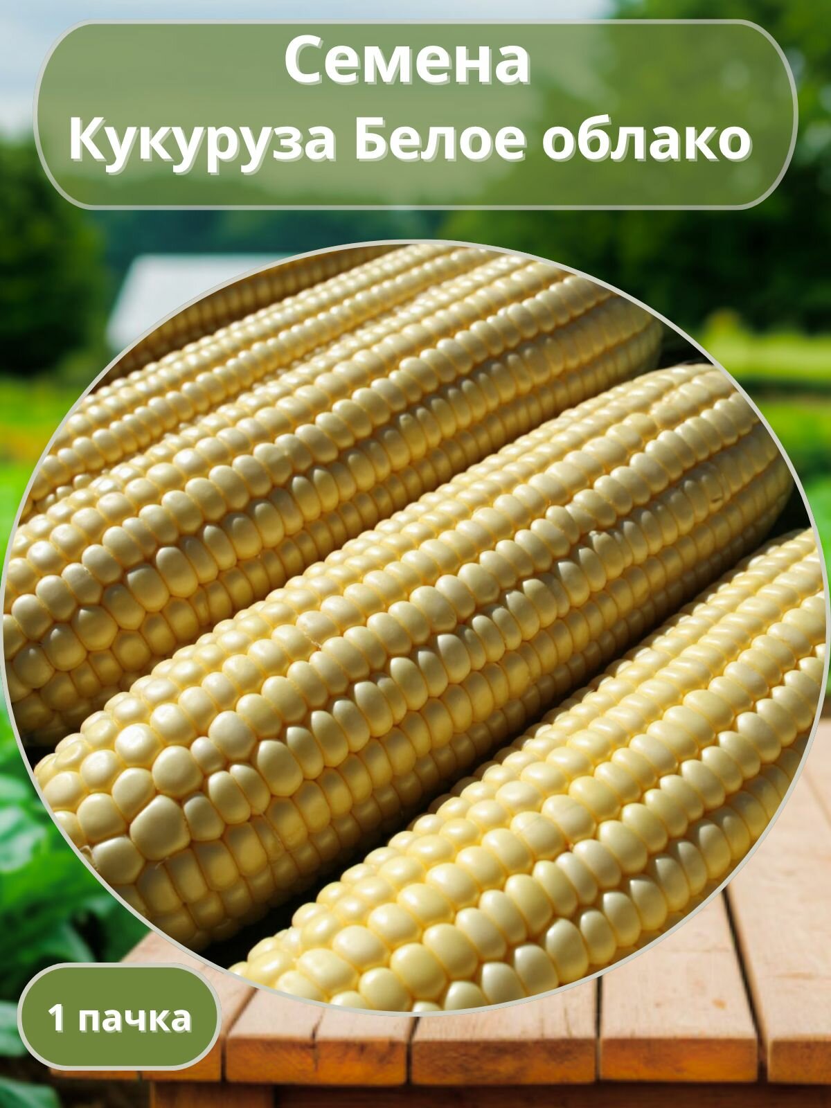 Кукуруза Белое облако, семена 10 шт