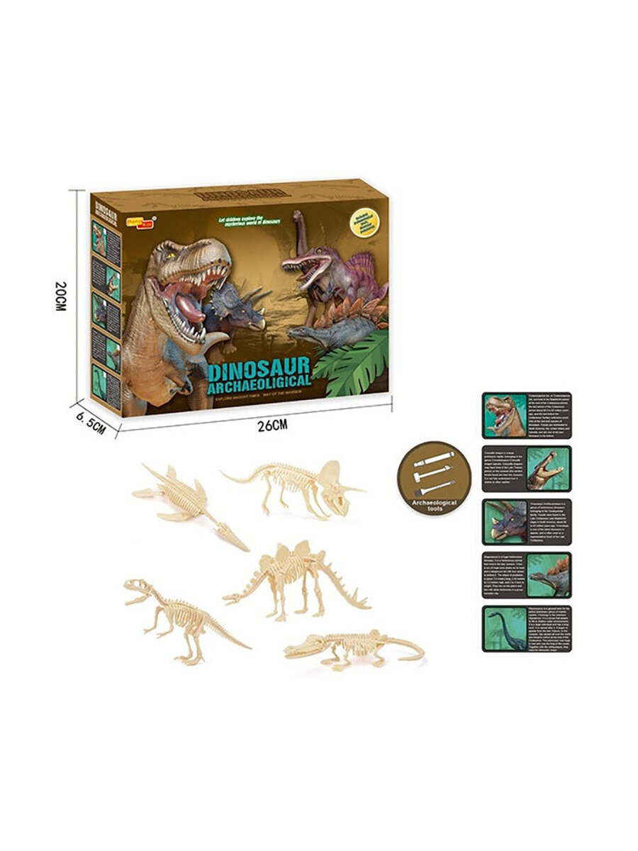 Набор Археологические раскопки 6 предметов 66955 с 5 лет