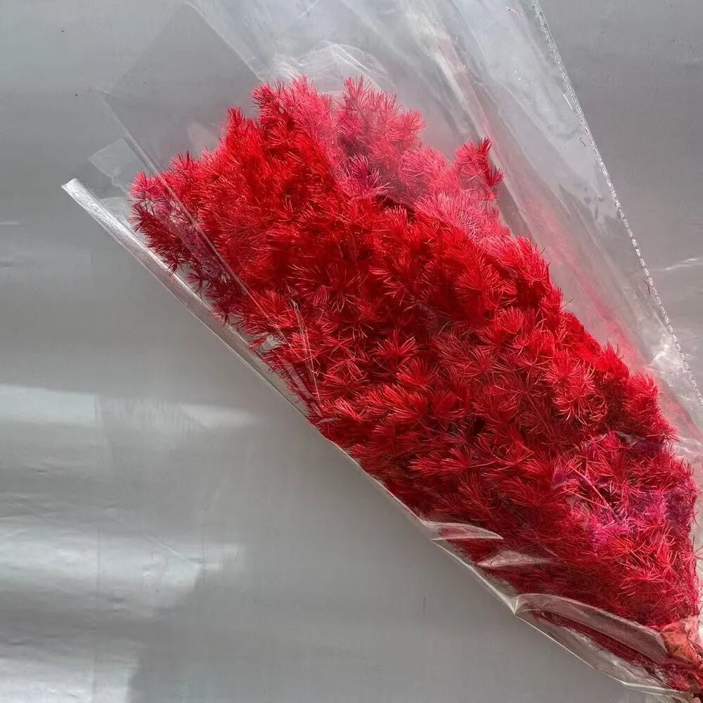 Стабилизированные цветы Аспарагус, Аспаргус, 60 см, 85 гр, 1 шт