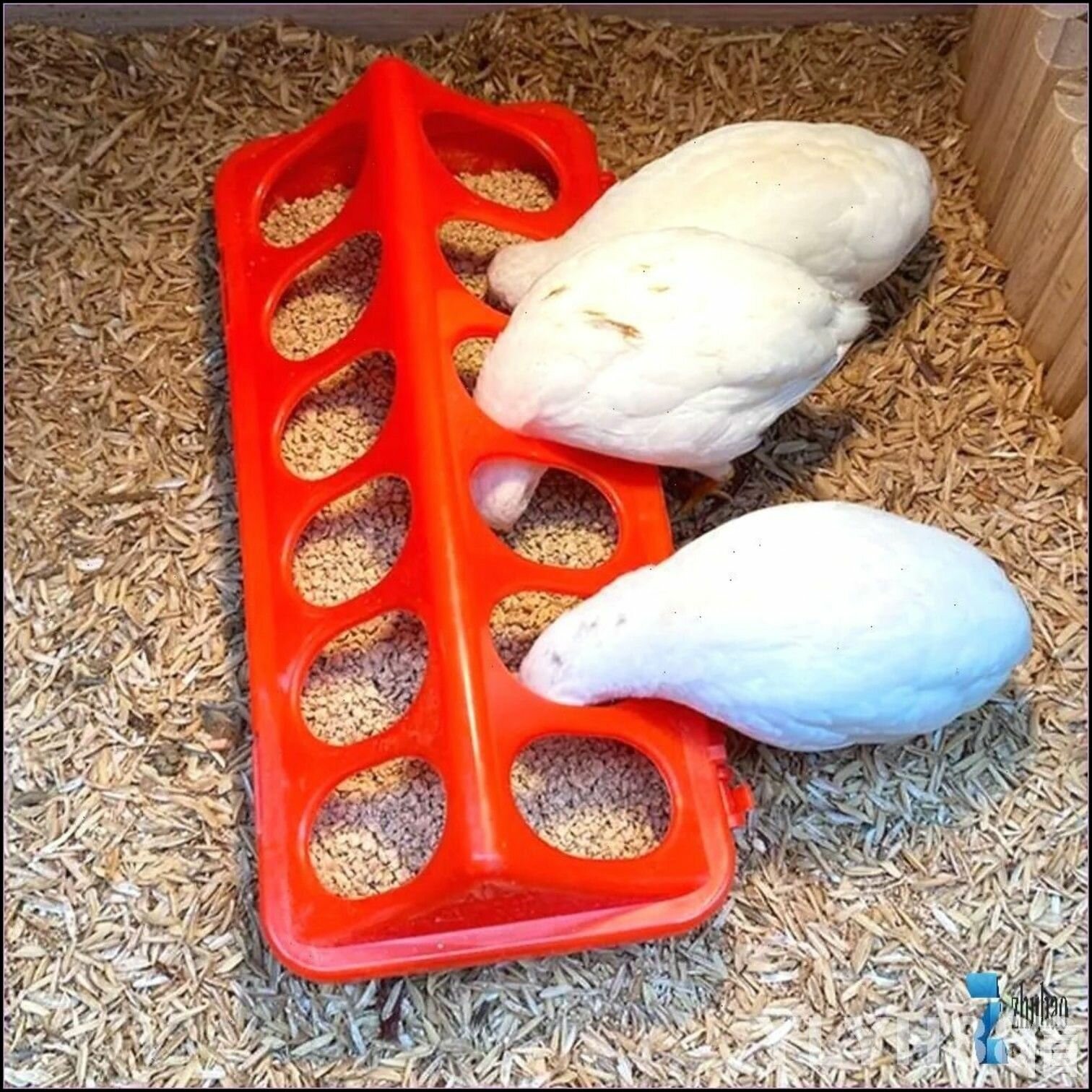 Кормушка для цыплят, уток и гусей с длинными полосками