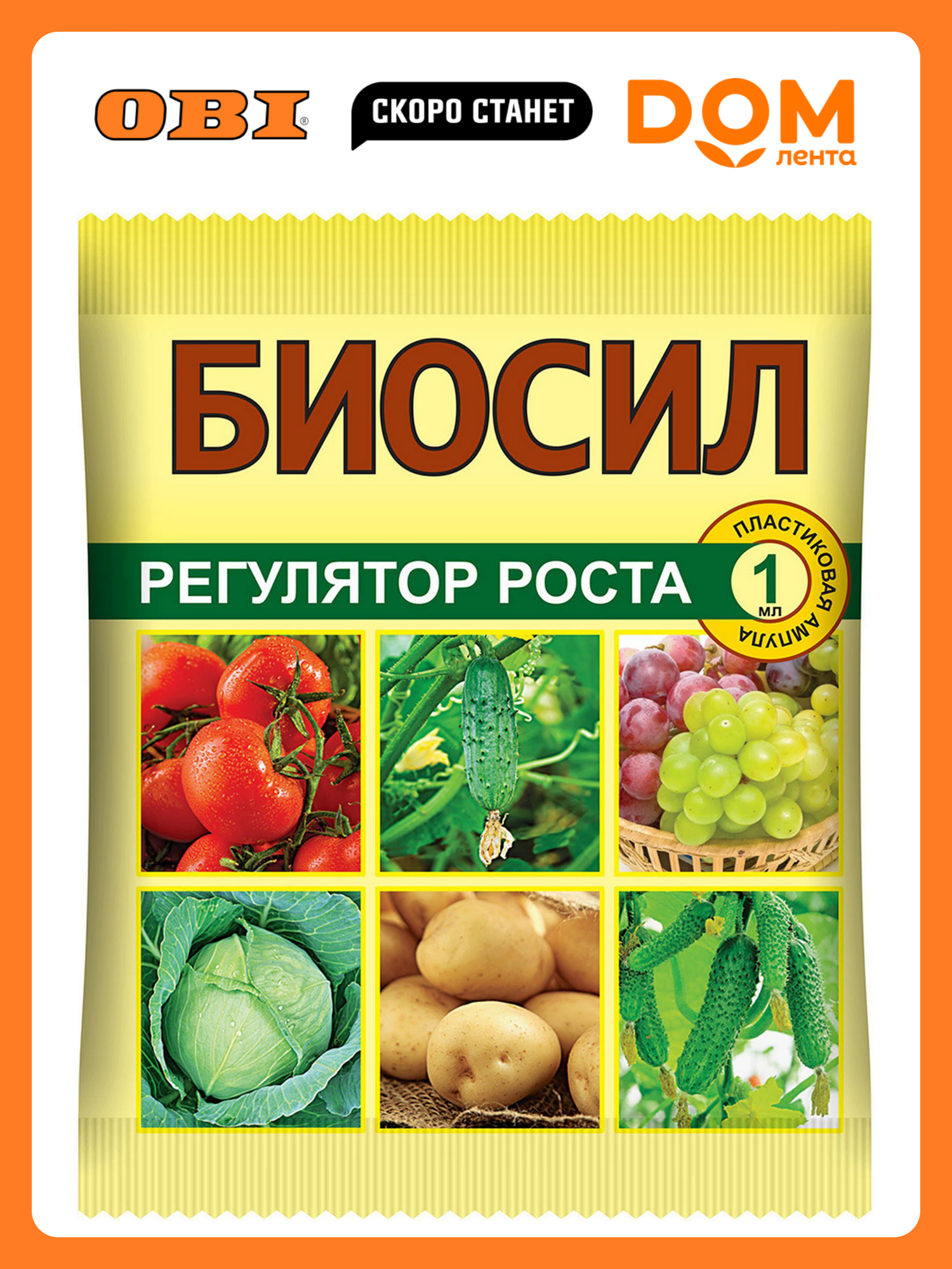 Стимулятор роста Ваше Хозяйство Биосил, универсальный, органоминеральный, 1 г