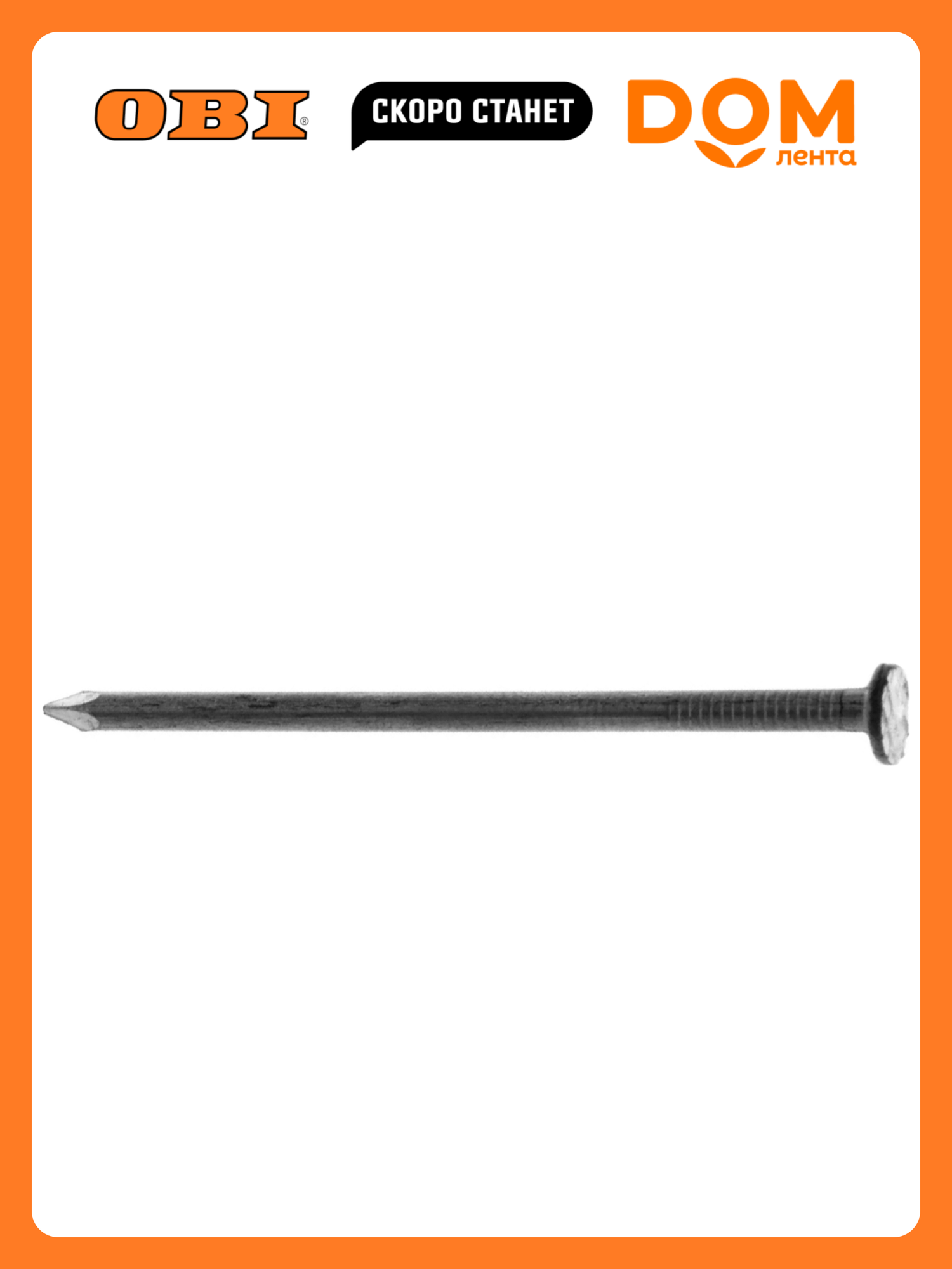 Гвозди строительные 2,5х50 мм 0,3 кг