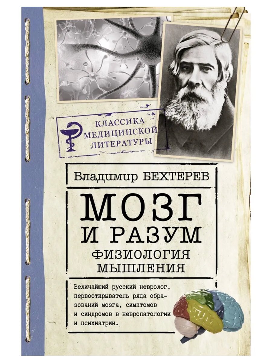 Мозг и разум: физиология мышления