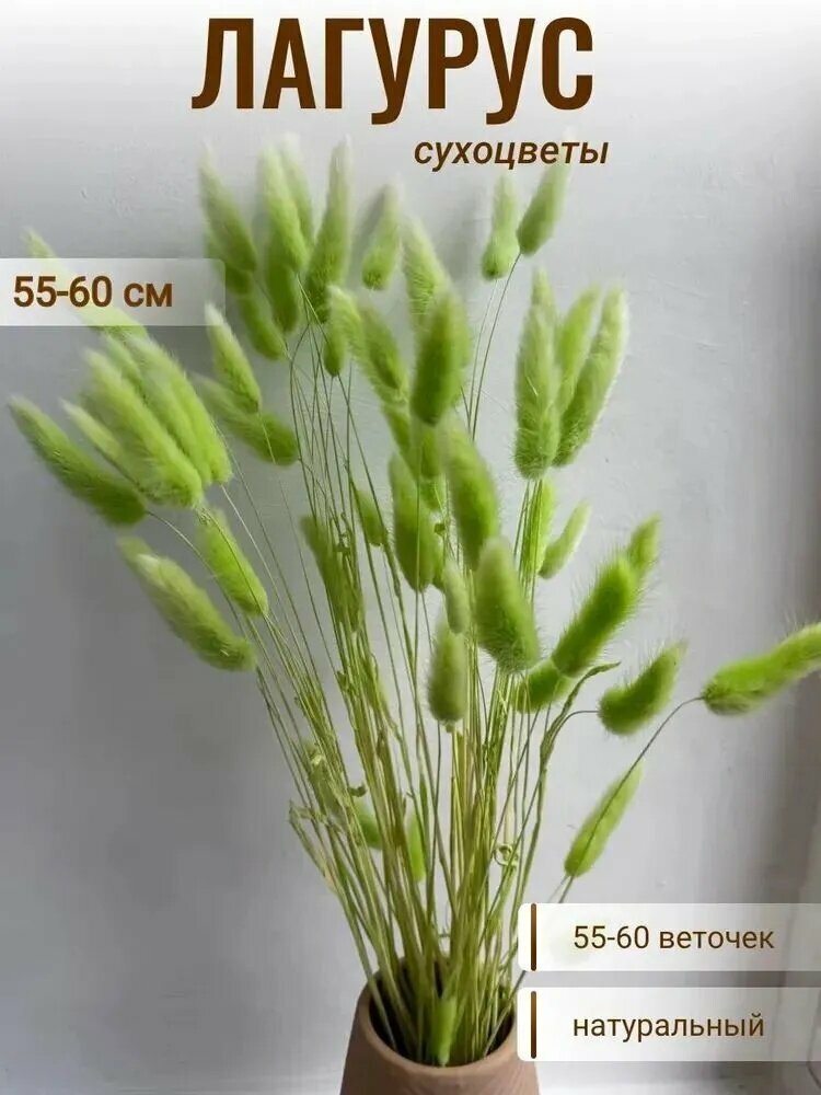 Сухоцветы, 60 см, 40 гр, 55 шт