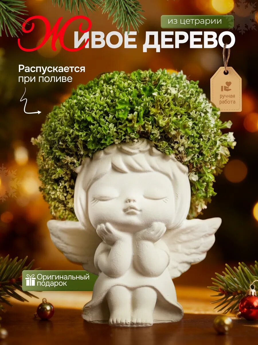 Декоративное дерево из исландского мха цетрарии "Девочка Ангел" в кашпо. Breath of Nature